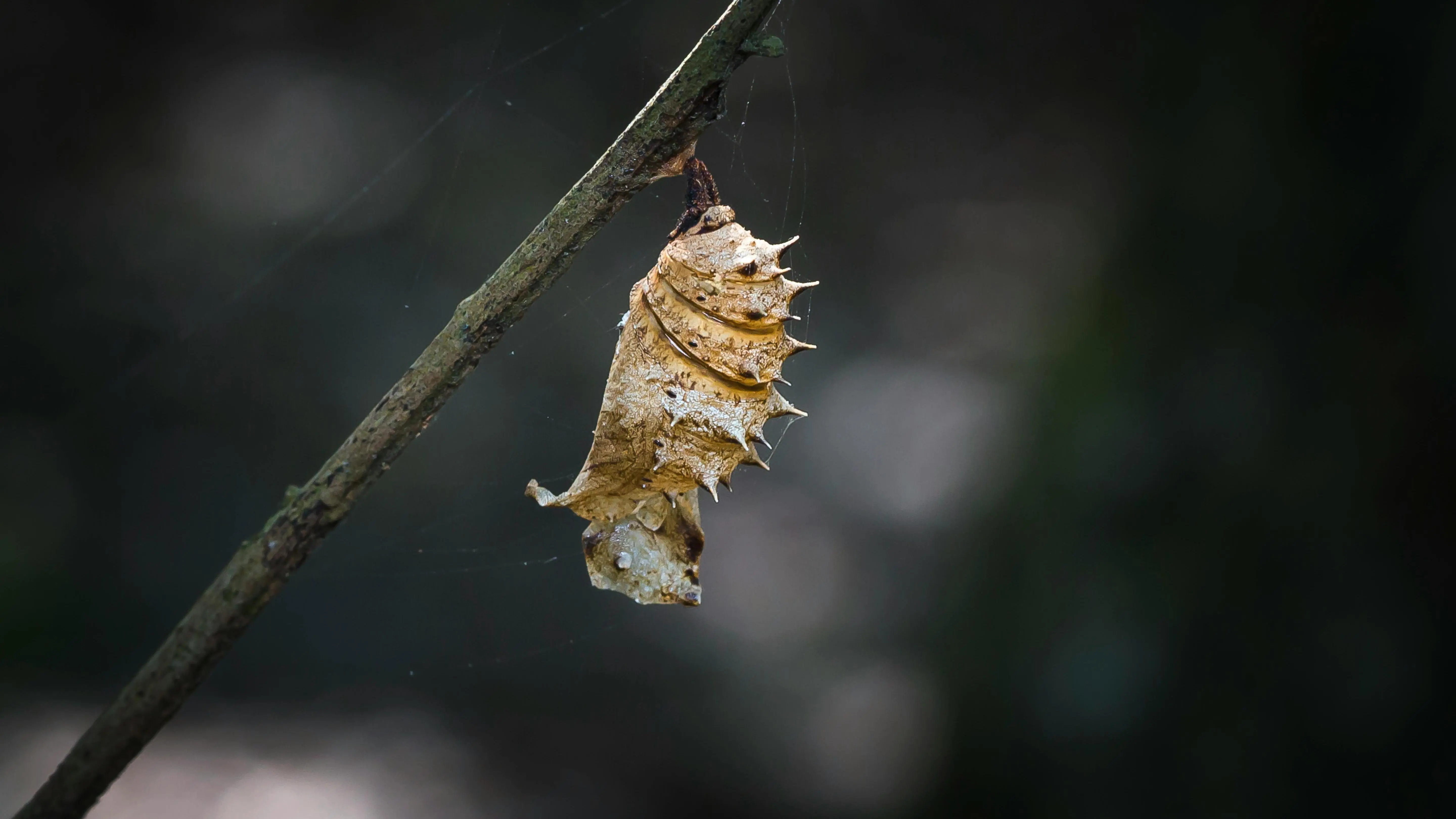 What Is a Character Arc and Why It Matters? - Greenlight Coverage