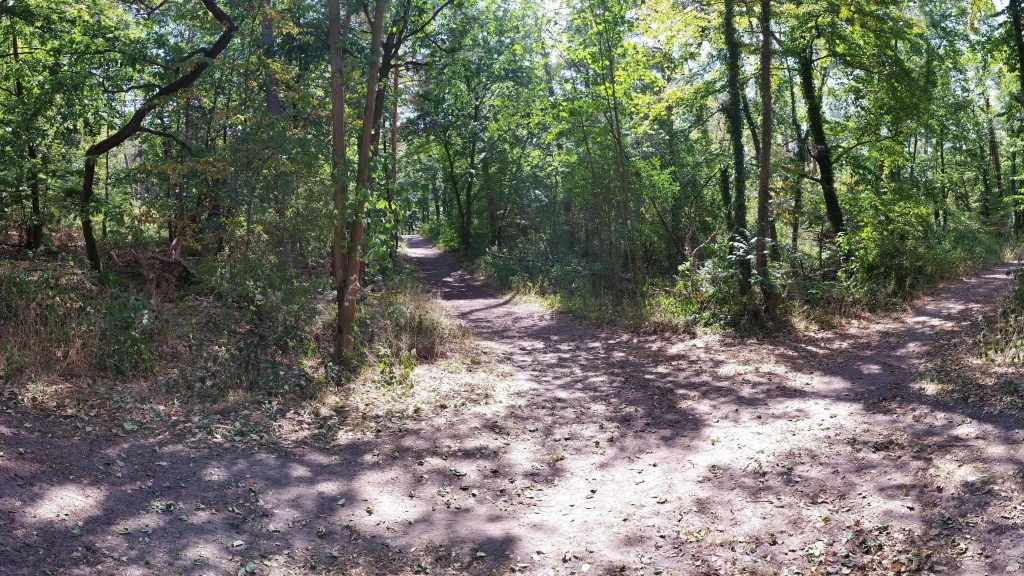 What Is a Love Triangle and How to Handle It? - Greenlight Coverage