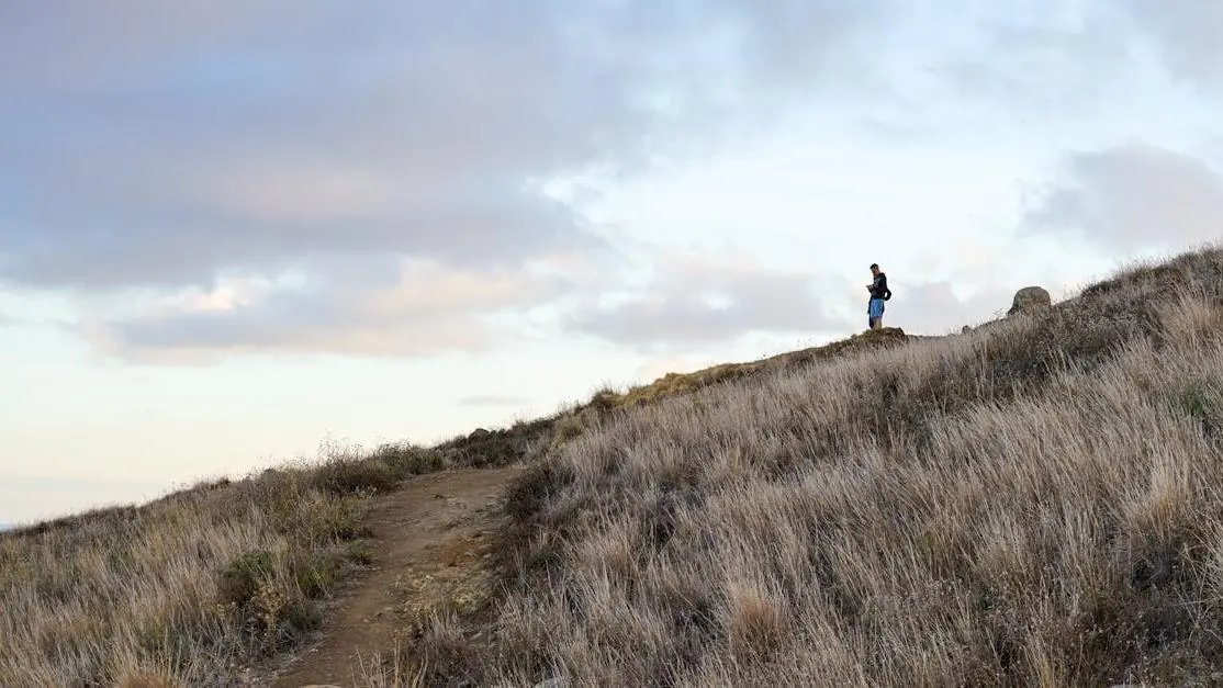 12 Fascinating Types of Character Arcs Exploring Screenplays ...