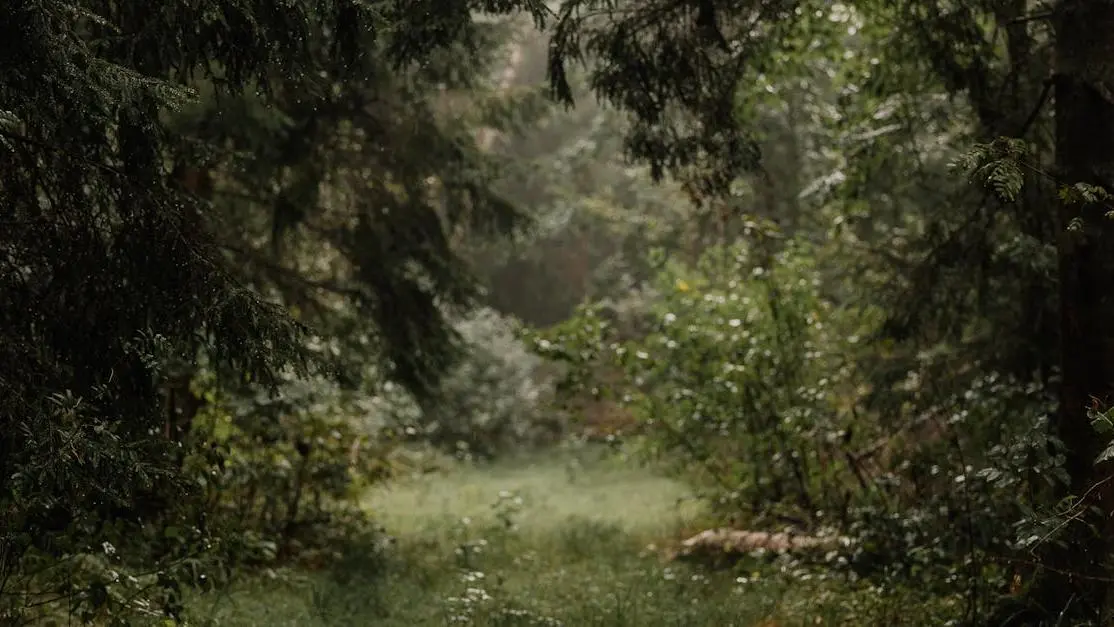 What Is a Story Beat? Simple Explanation for Writers - Greenlight Coverage