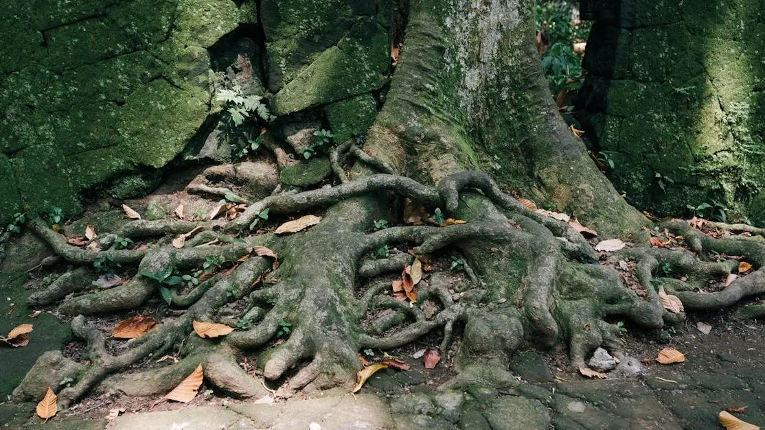 What is a Character Backstory and Why Does it Matter? - Greenlight Coverage