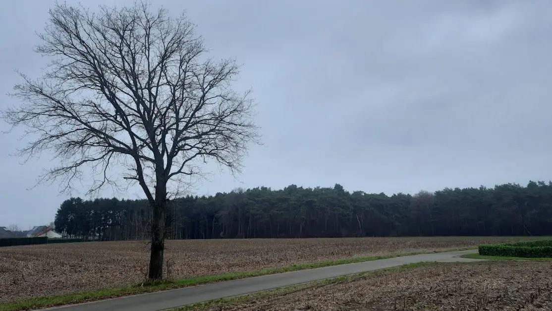 What Is Narrative Pacing and How Does It Enhance Your Story ...